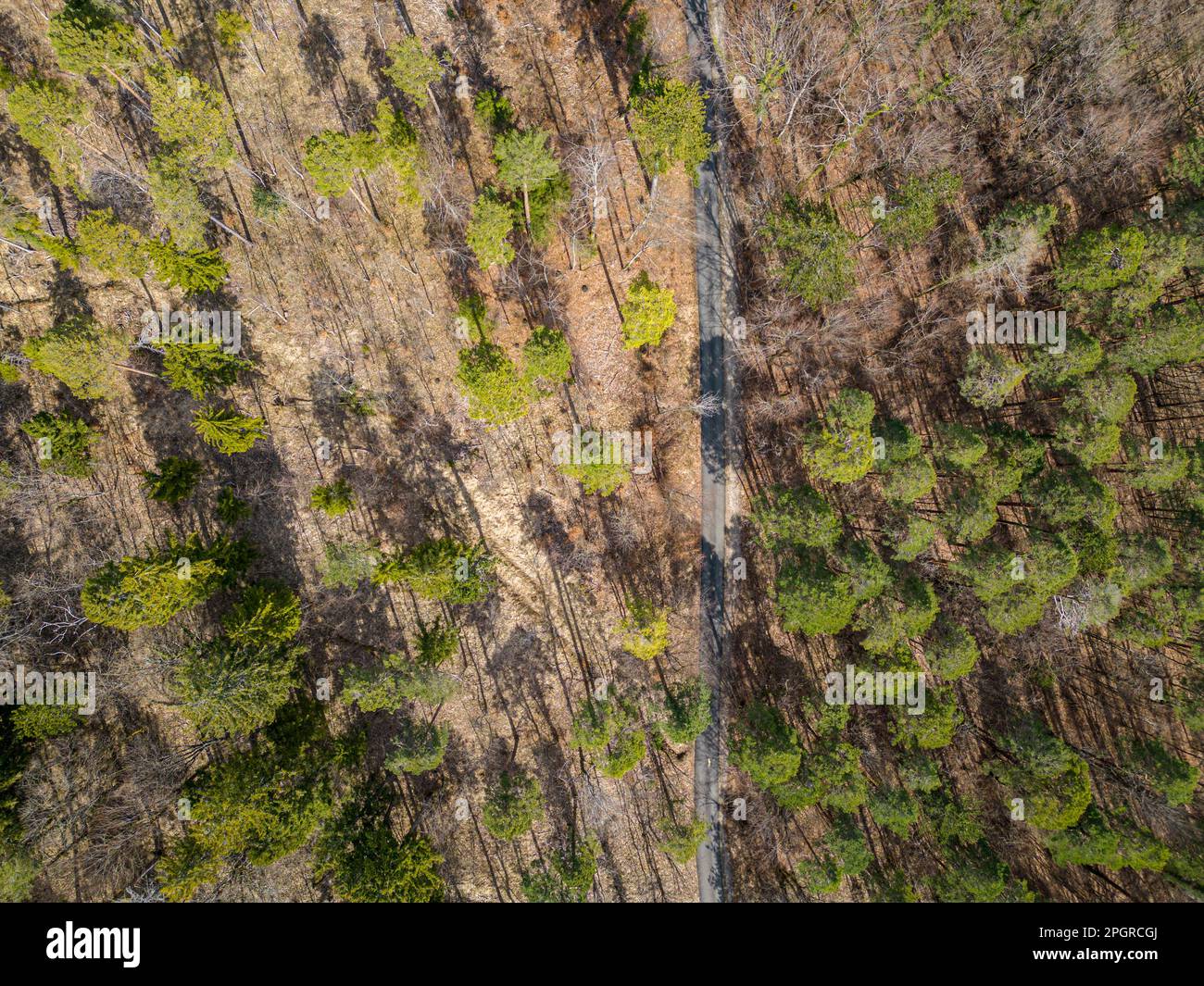 Reforestation drone hi-res stock photography and images - Alamy