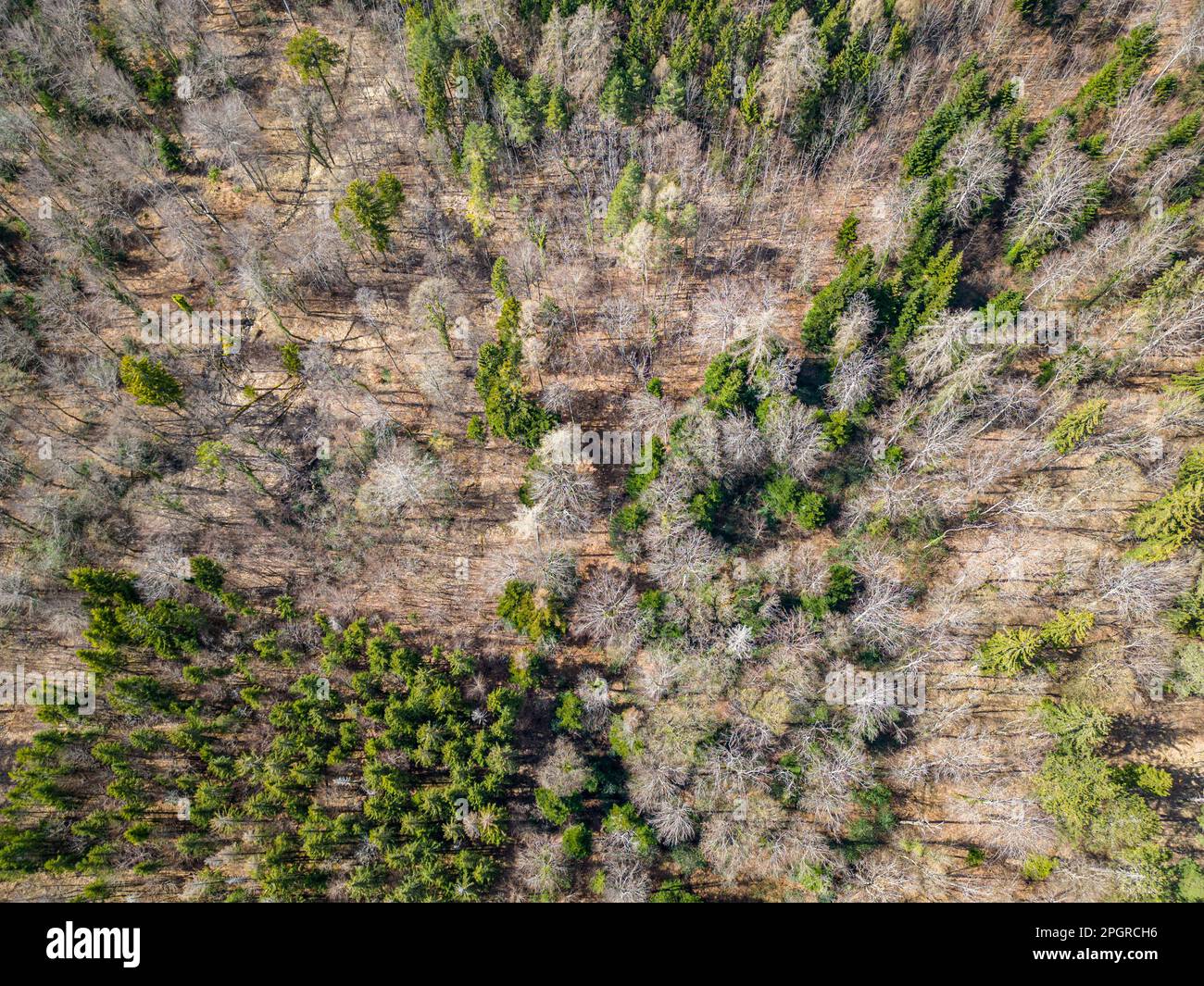 Top down drone point view hi-res stock photography and images - Alamy