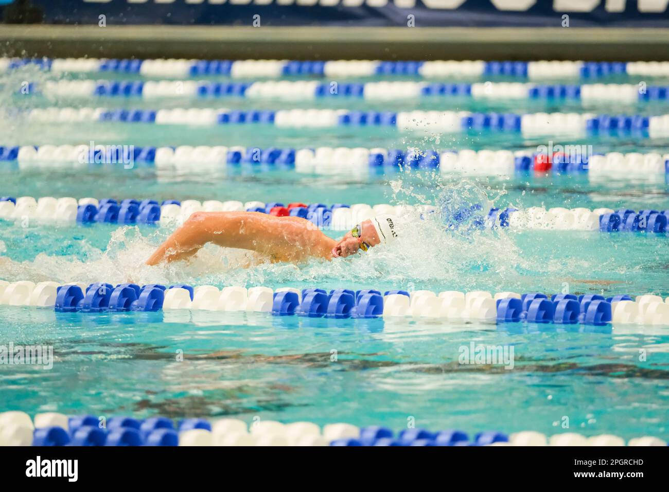 Minneapolis, Minnesota, USA. 23rd Mar, 2023. Swimmers during the ...