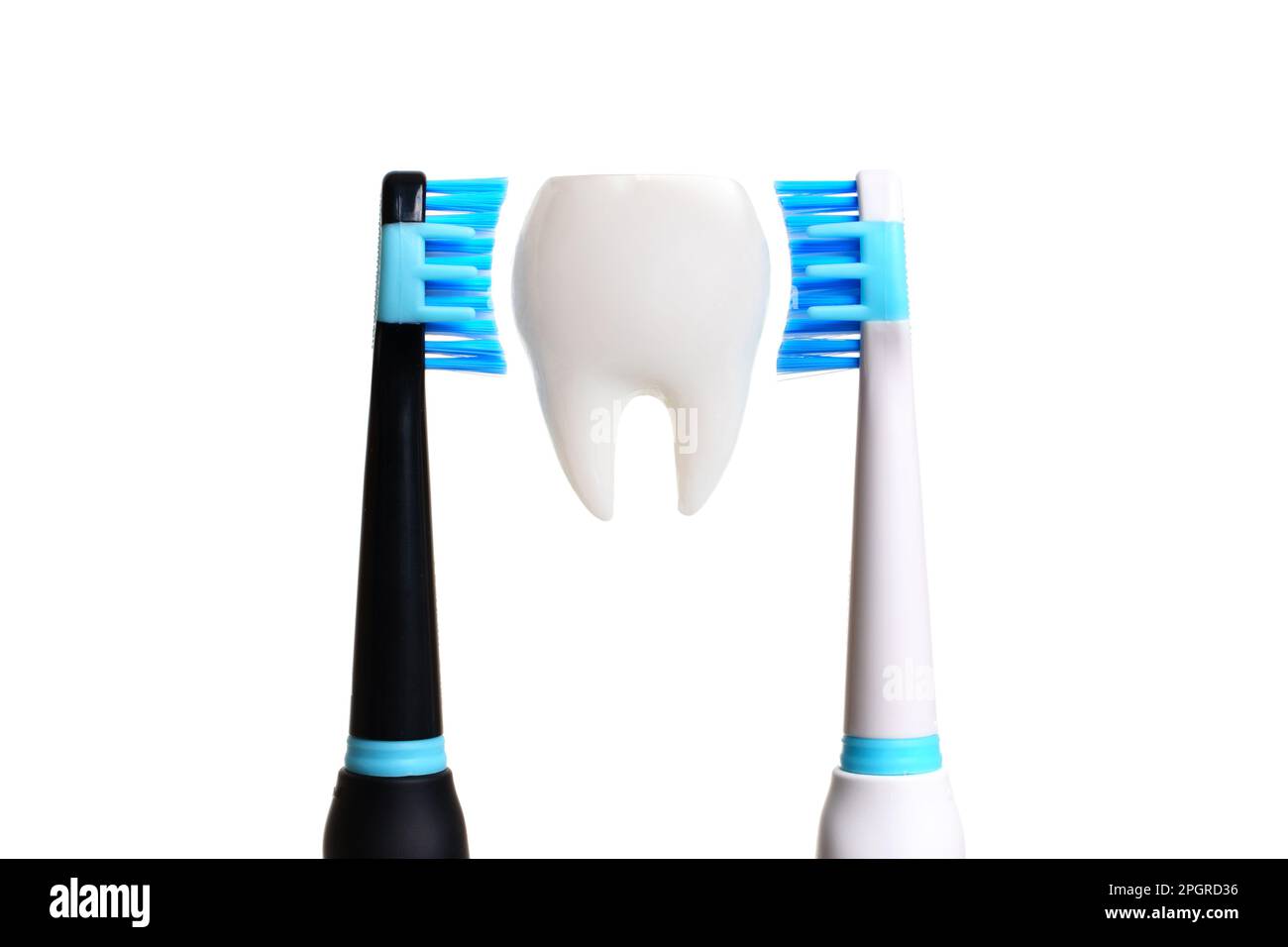Large tooth model placed between black and white electric toothbrushes ...