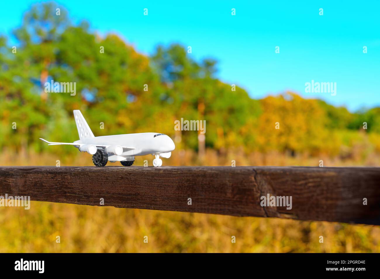 Realistic forest view hi-res stock photography and images - Alamy