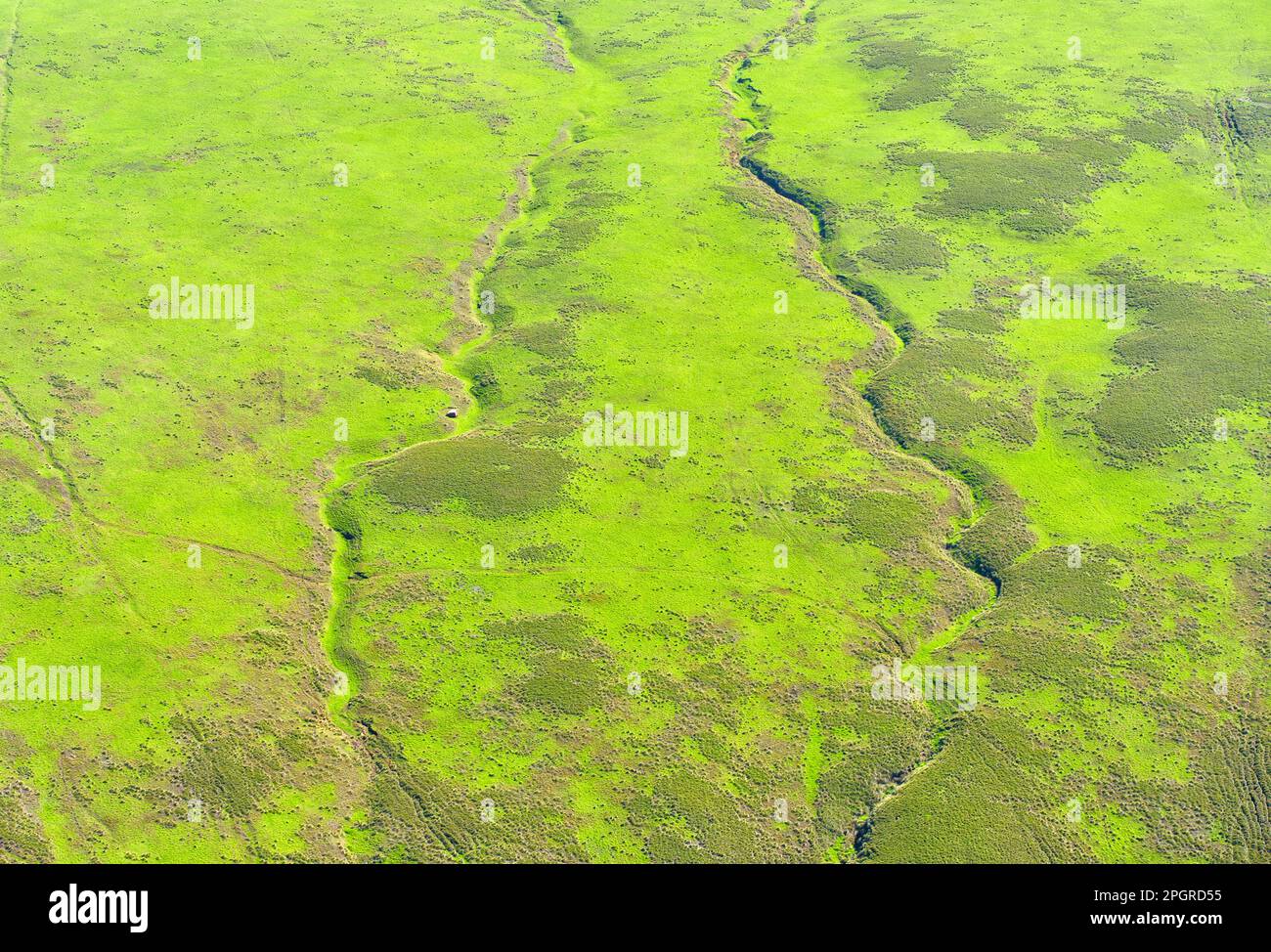Vibrant green plain with old lava stream marks seen from a helicopter ...