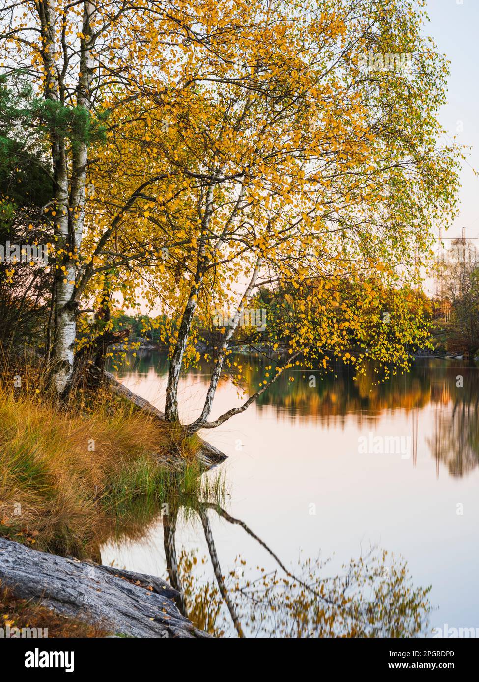 A stunning autumn scene in Sweden, with tranquil lake water reflecting ...