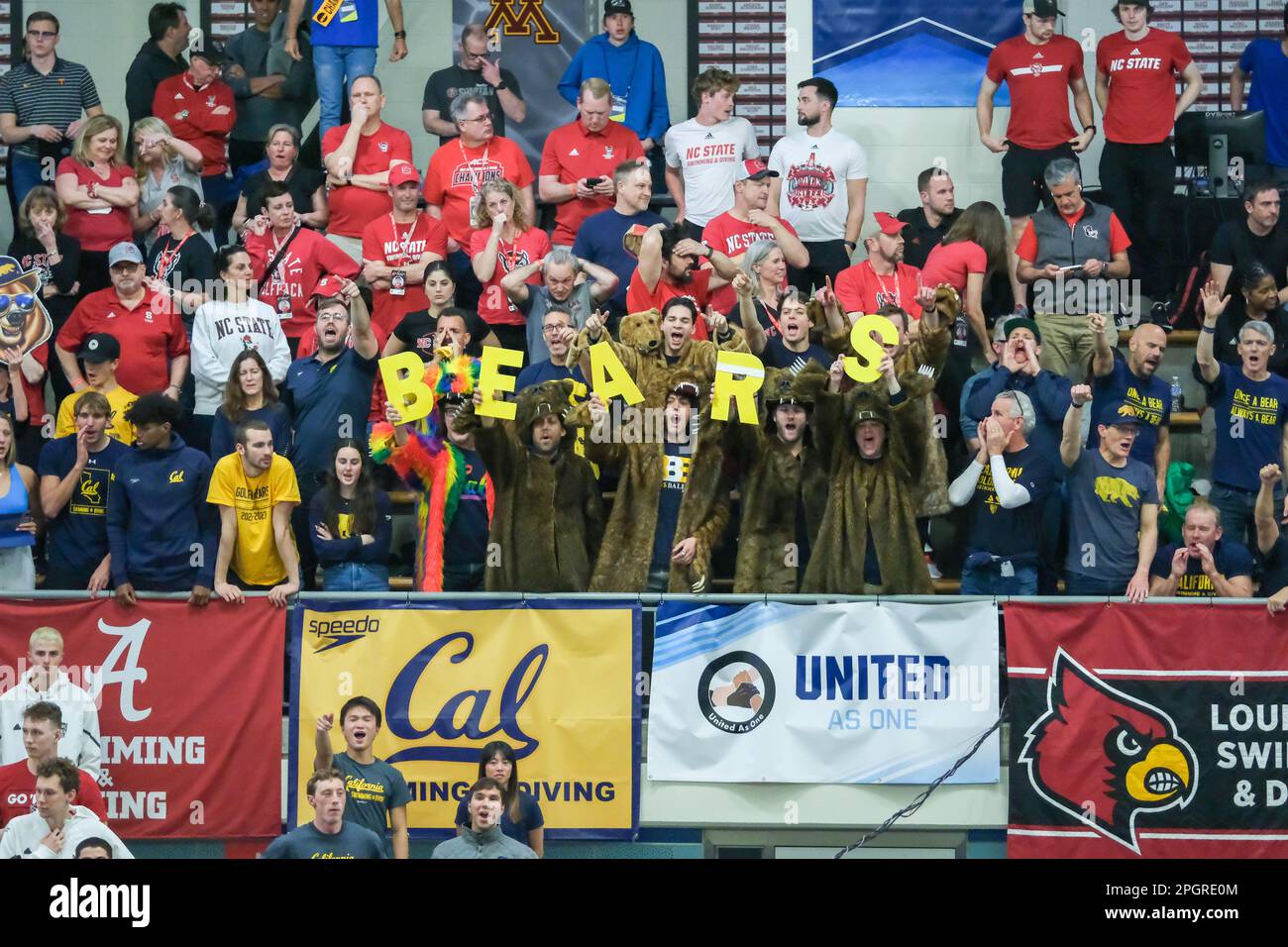 Ncaa mens swimming and diving championships hi-res stock photography ...