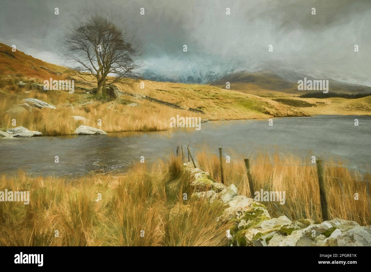 Digital painting of panoramic views of Llyn y Dywarchen, Snowdon, and Y ...