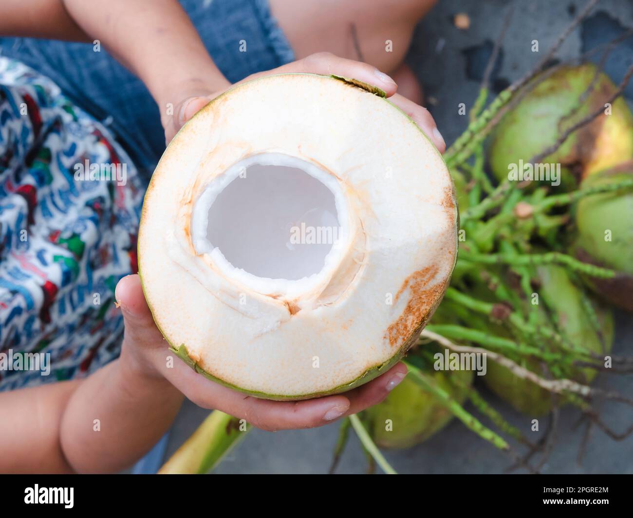 Female gardener holding fresh coconuts peeled , ready to eat from ...