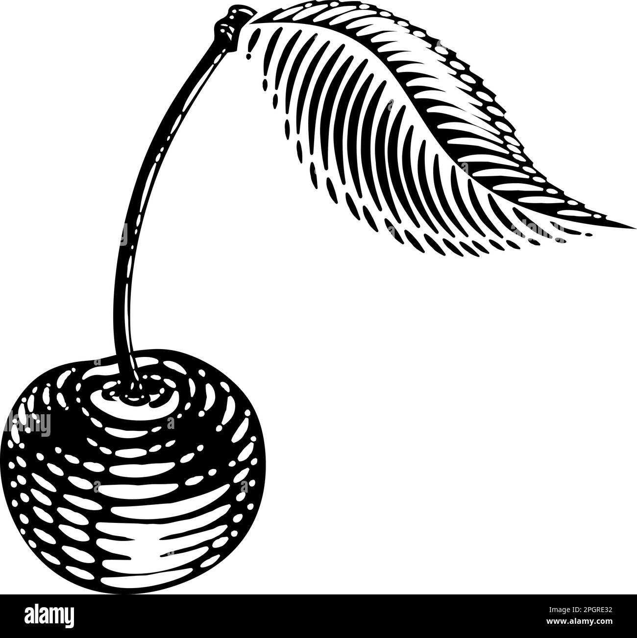 Black cherry woodcut Cut Out Stock Images & Pictures - Alamy