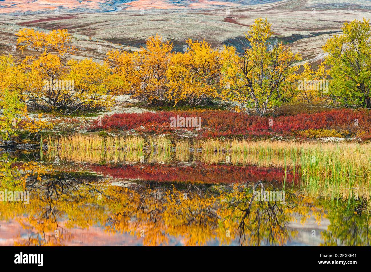 A peaceful autumn scene of Rondane Nationalpark, Norway; a serene lake ...