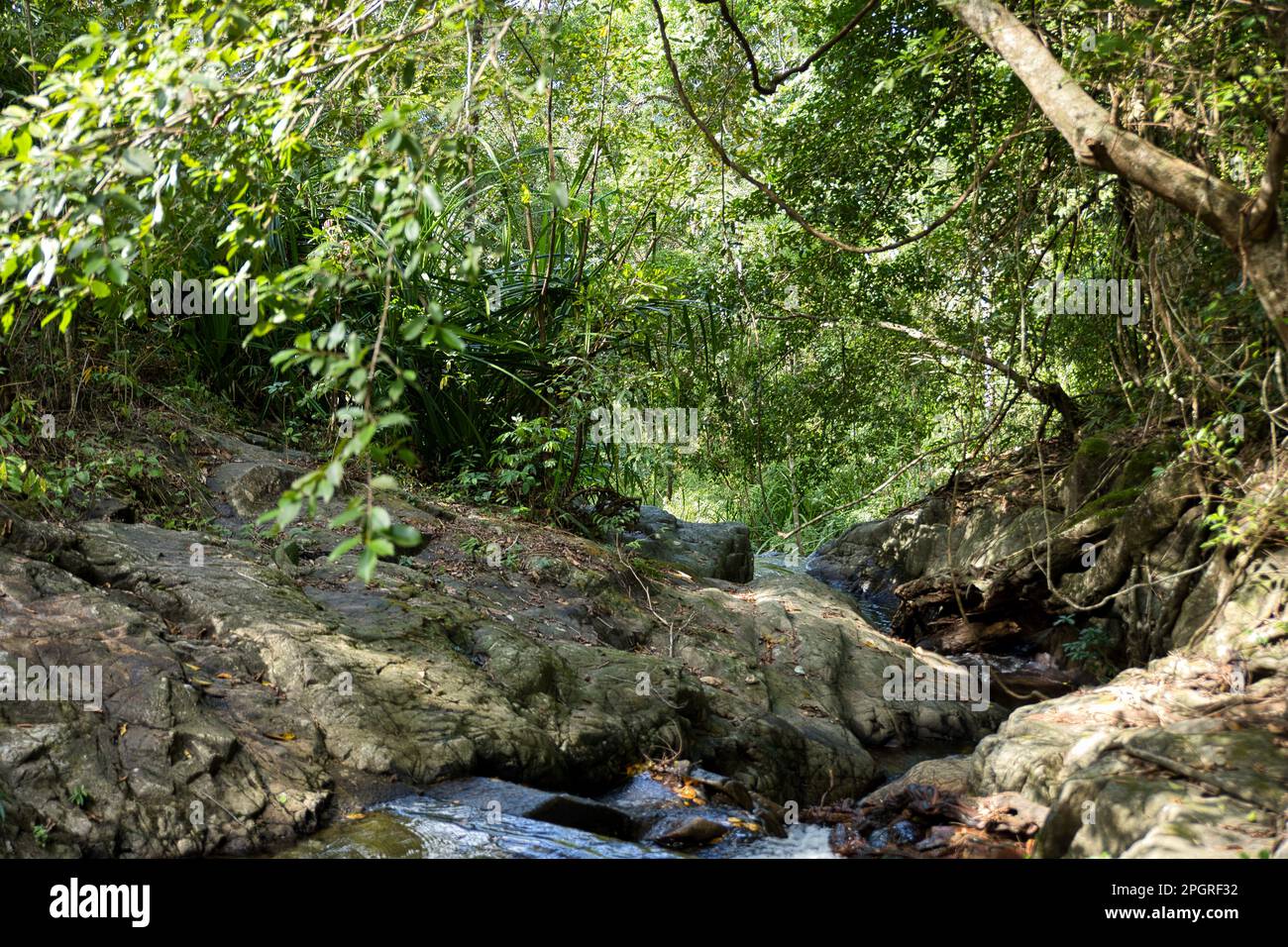 A stream in El Nido, Palawan in the Philippines, flowing through a ...