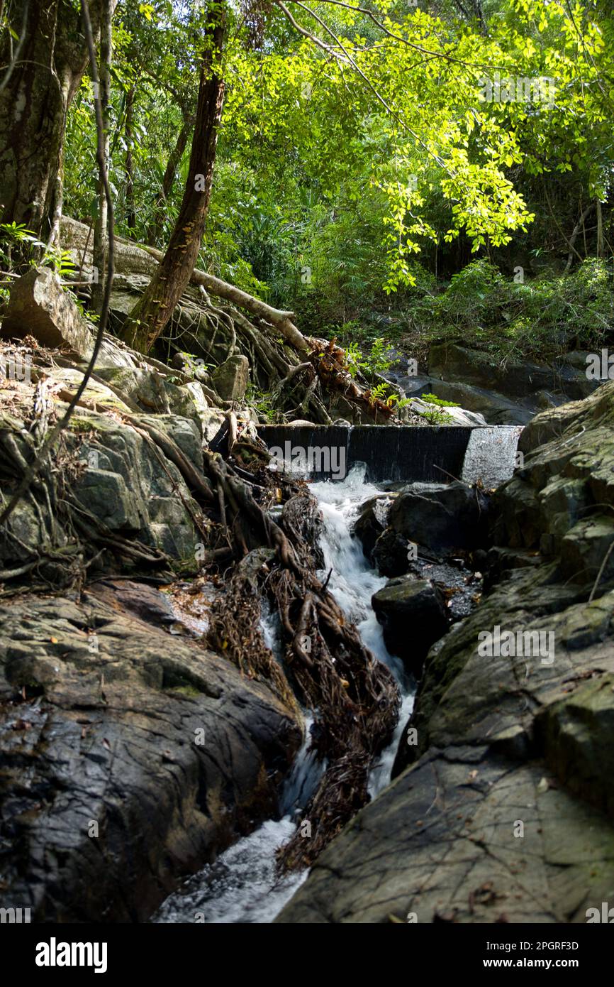 A stream in El Nido, Palawan in the Philippines, flowing through a ...