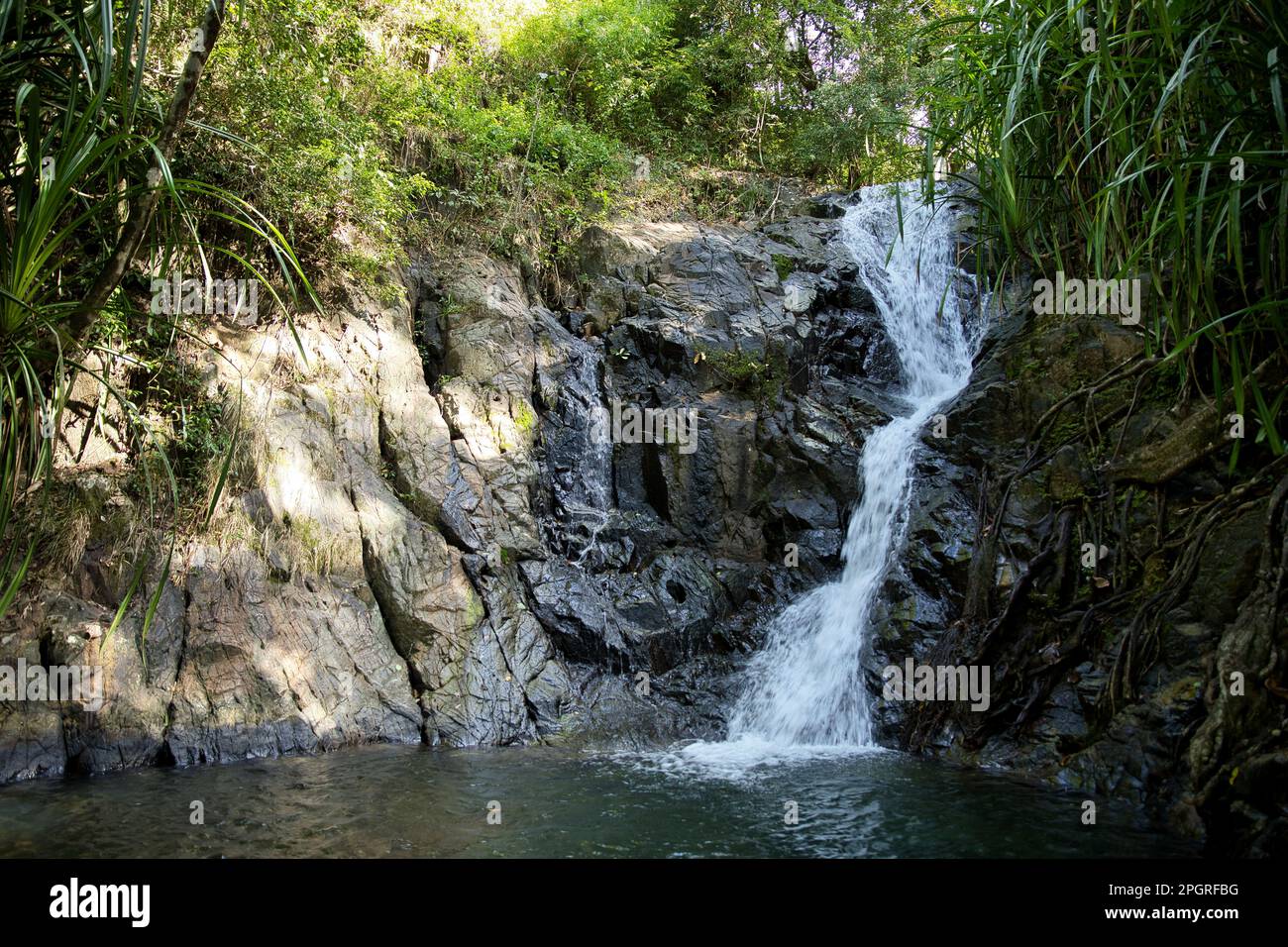 Close-up of Nakalitkalit Waterfall in El Nido, Palawan in the ...