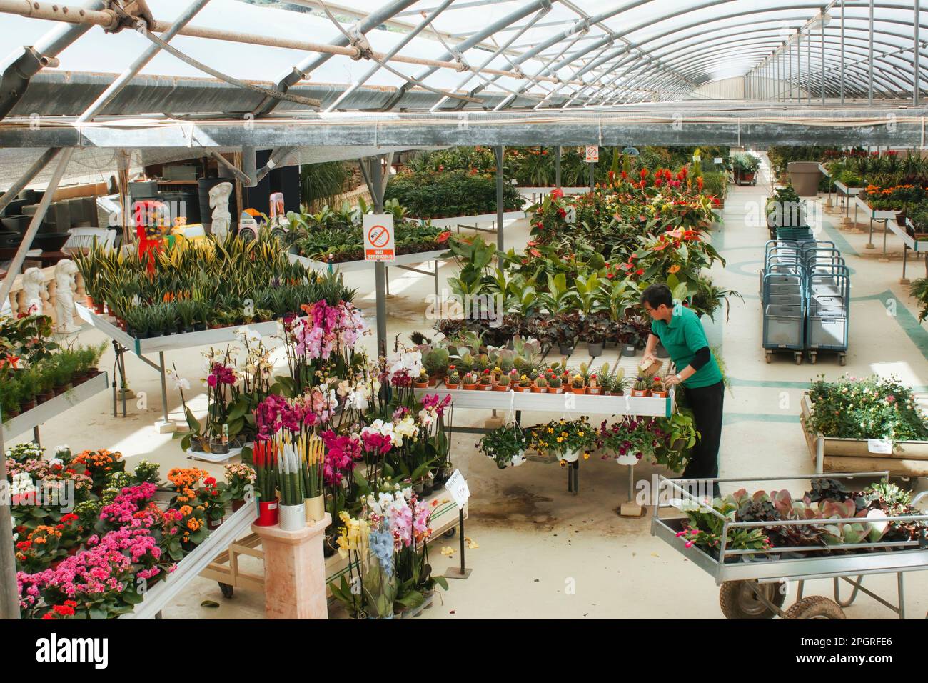 Staff garden centre hi-res stock photography and images - Alamy