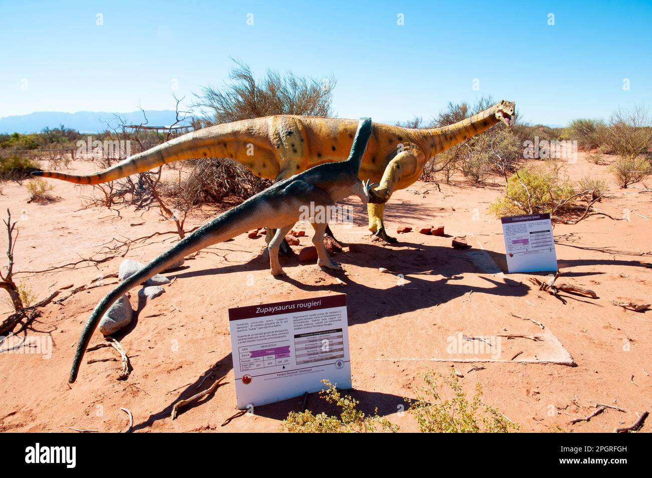 Coloradisaurus brevis hi-res stock photography and images - Alamy