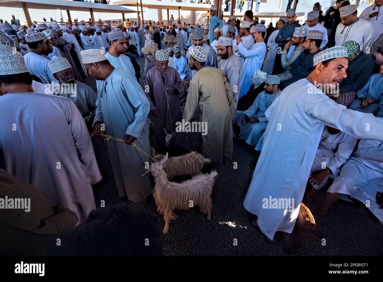 Scenes from the Friday goat market, Nizwa, Oman Stock Photo - Alamy
