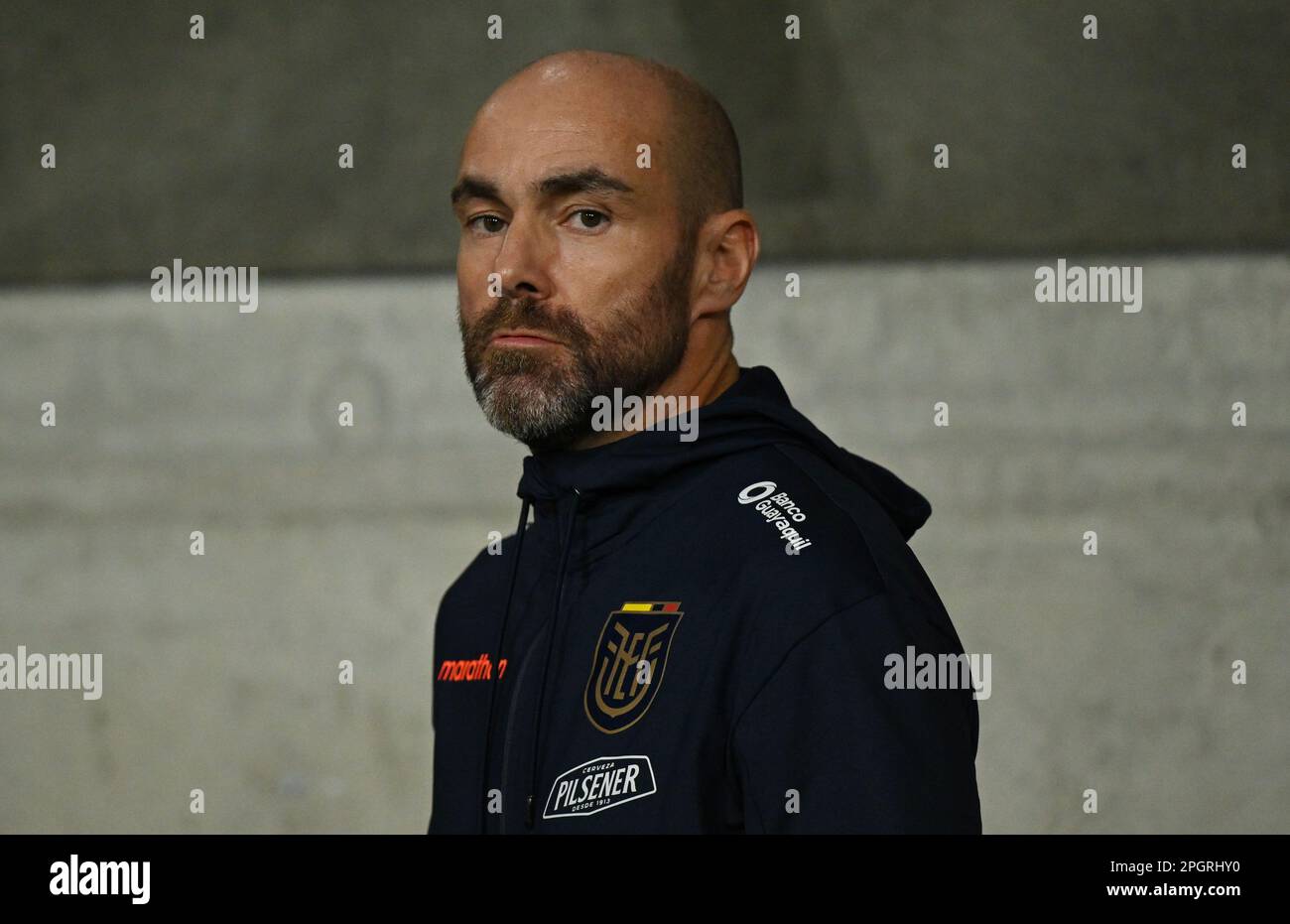 Ecuador’s head coach Félix Sánchez during the soccer match between the ...
