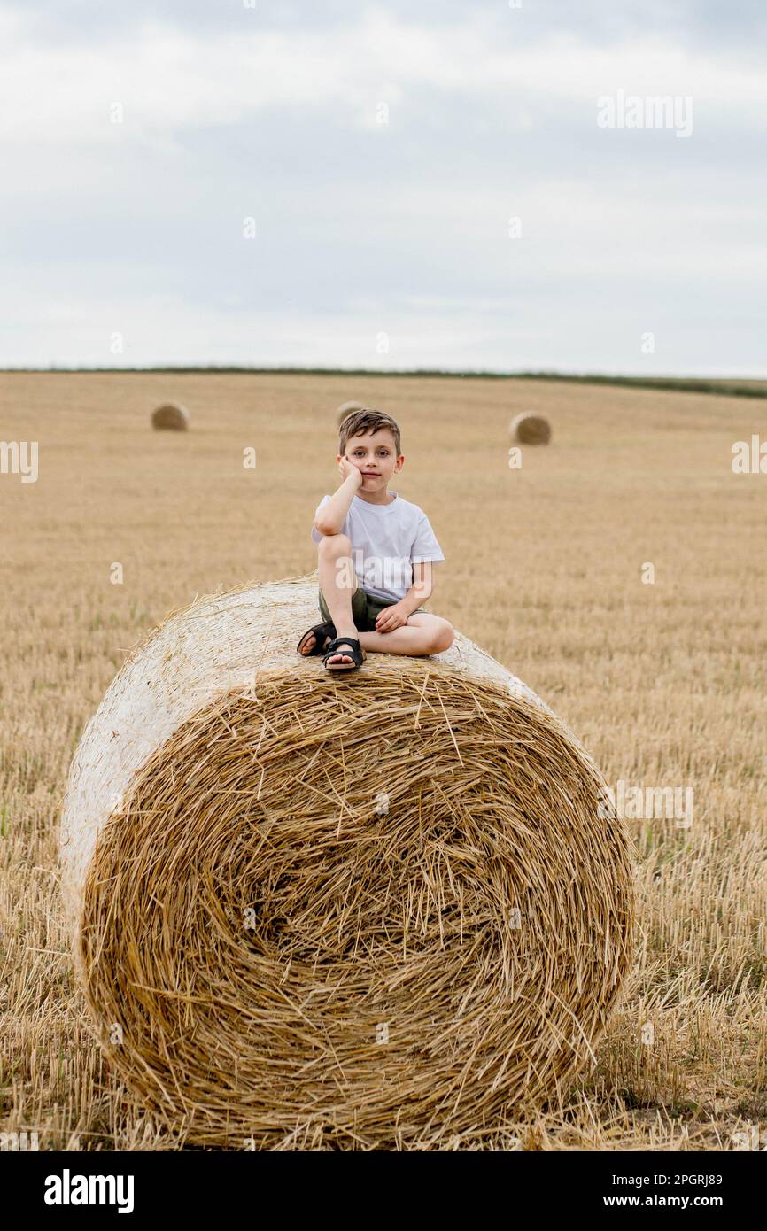 A cute little boy in a white t-shirt and khaki shorts is sitining on ...