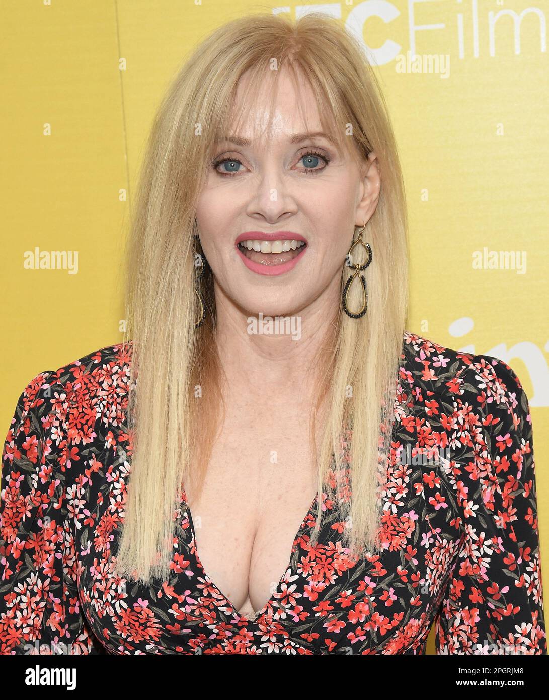 Los Angeles, USA. 23rd Mar, 2023. Barbara Crampton arrives at the IFC Films' PAINT Los Angeles ...