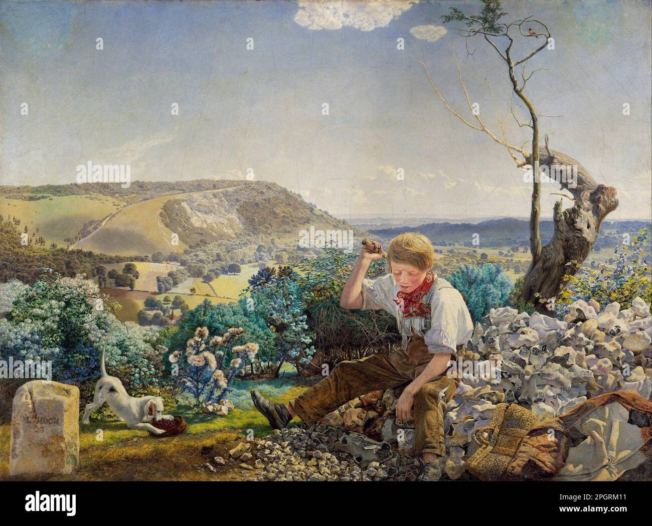 Stonebreaker hi-res stock photography and images - Alamy