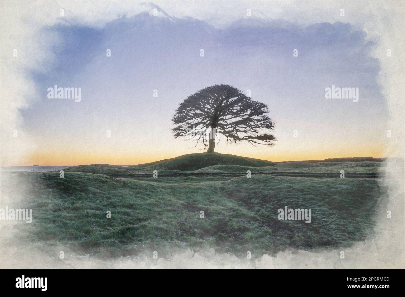 A digital watercolor painting of a lone tree at sunrise on Grindon Moor ...