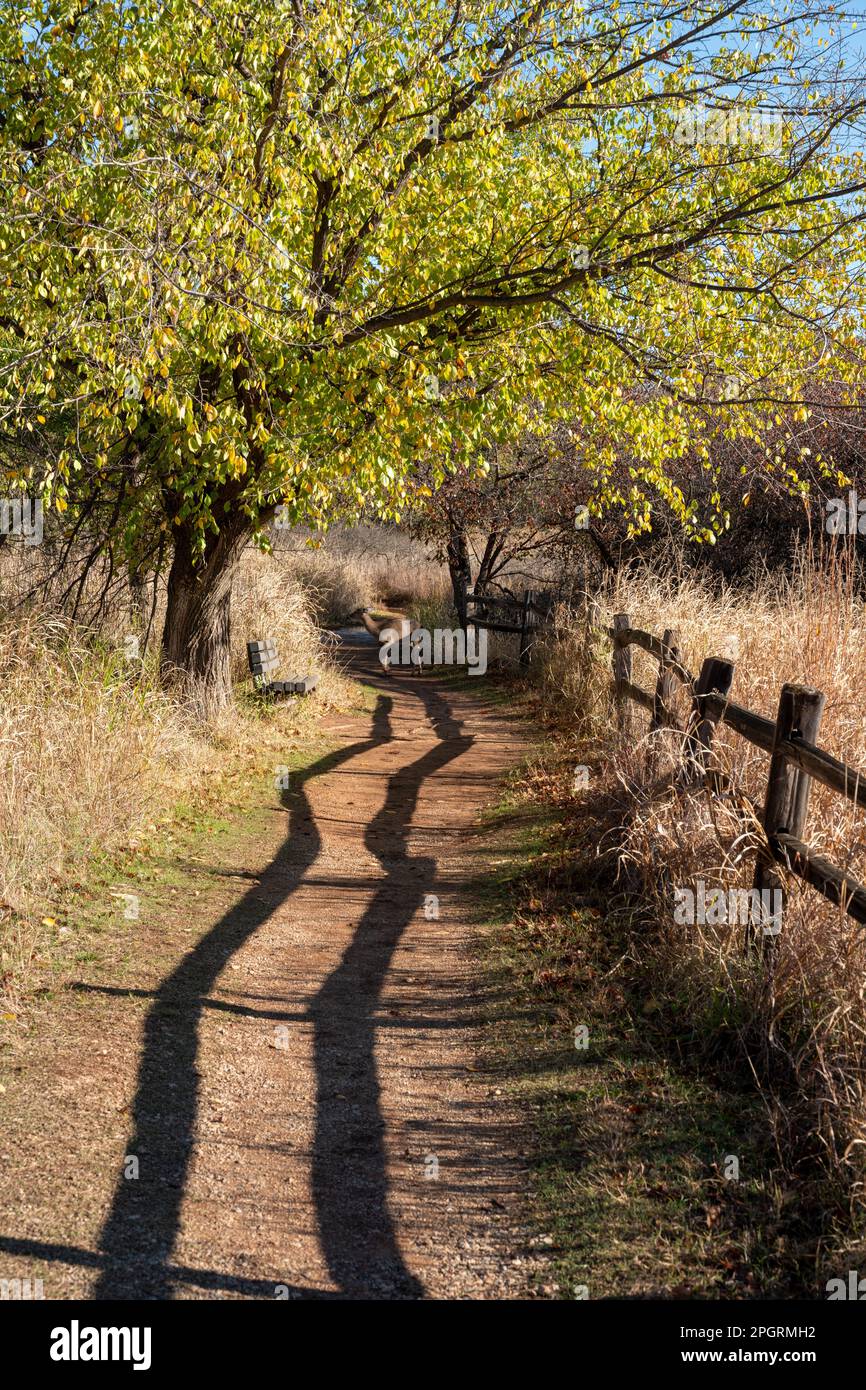A vertical shot of a road stretches along a tall wooden fence, with a ...
