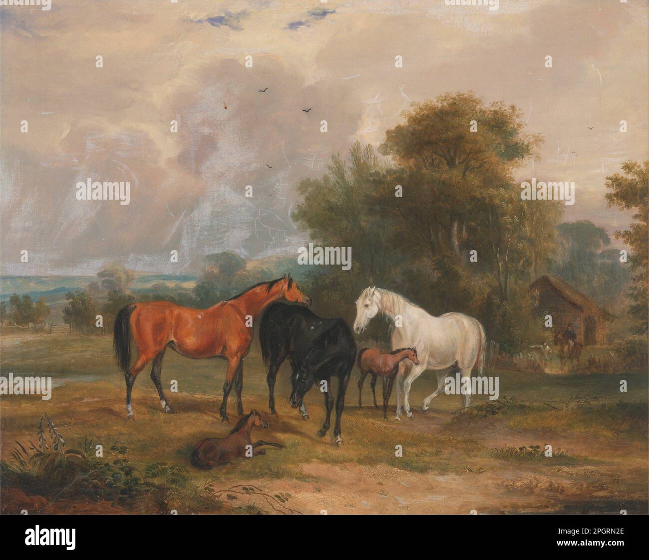 Horses Grazing: Mares and Foals in a Field 1830 by Francis Calcraft ...