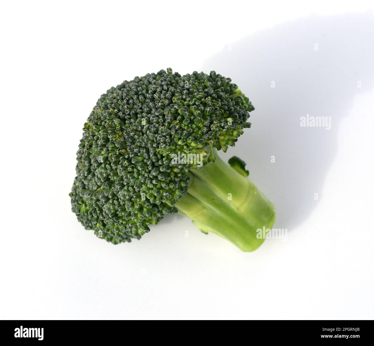 Brokkoli Cut Out Stock Images & Pictures - Alamy