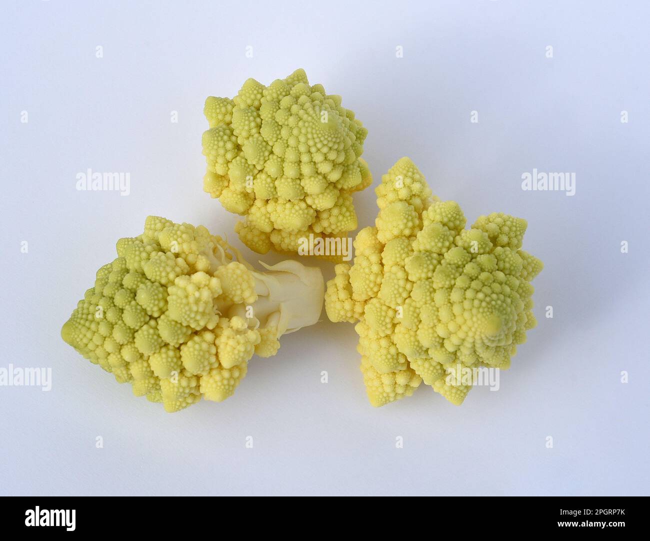 Romanesco, Brokkoli hat große grune Blueten mit hervorragendem ...