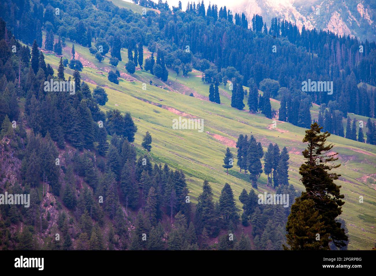 Landscape in the mountains. Panoramic view from the top of Sonmarg ...