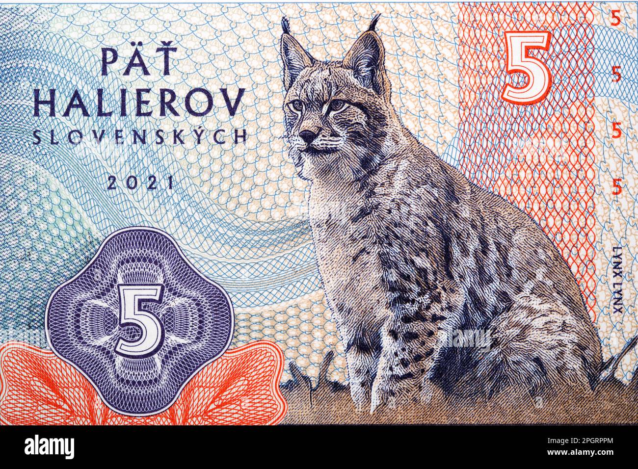 Slovak wildlife hi-res stock photography and images - Alamy