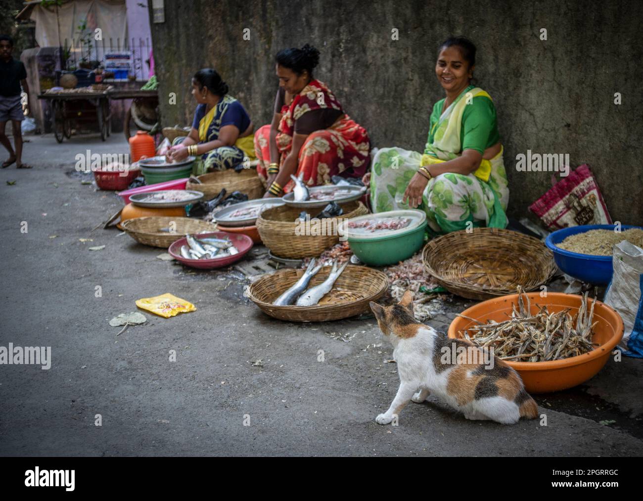 A CAT LOOKING TOWARDS INDIAN LADIES FISH VENDORS AT THE SIDE OF THE ...