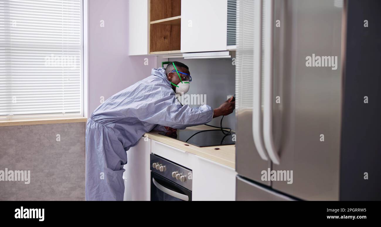 Man Showing At Pest Control Worker Spraying Insecticide On Shelf Of ...