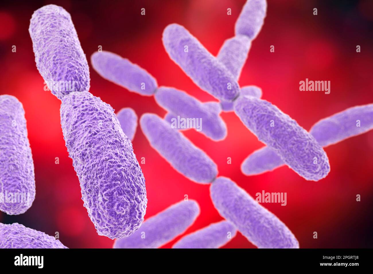 Klebsiella gram hi-res stock photography and images - Alamy