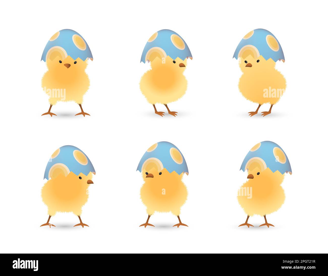 Helmet shell egg hi-res stock photography and images - Alamy