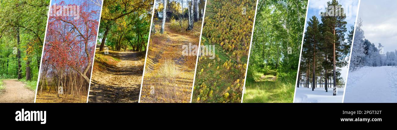 Forest banner. Collage with banners for website header design Stock ...
