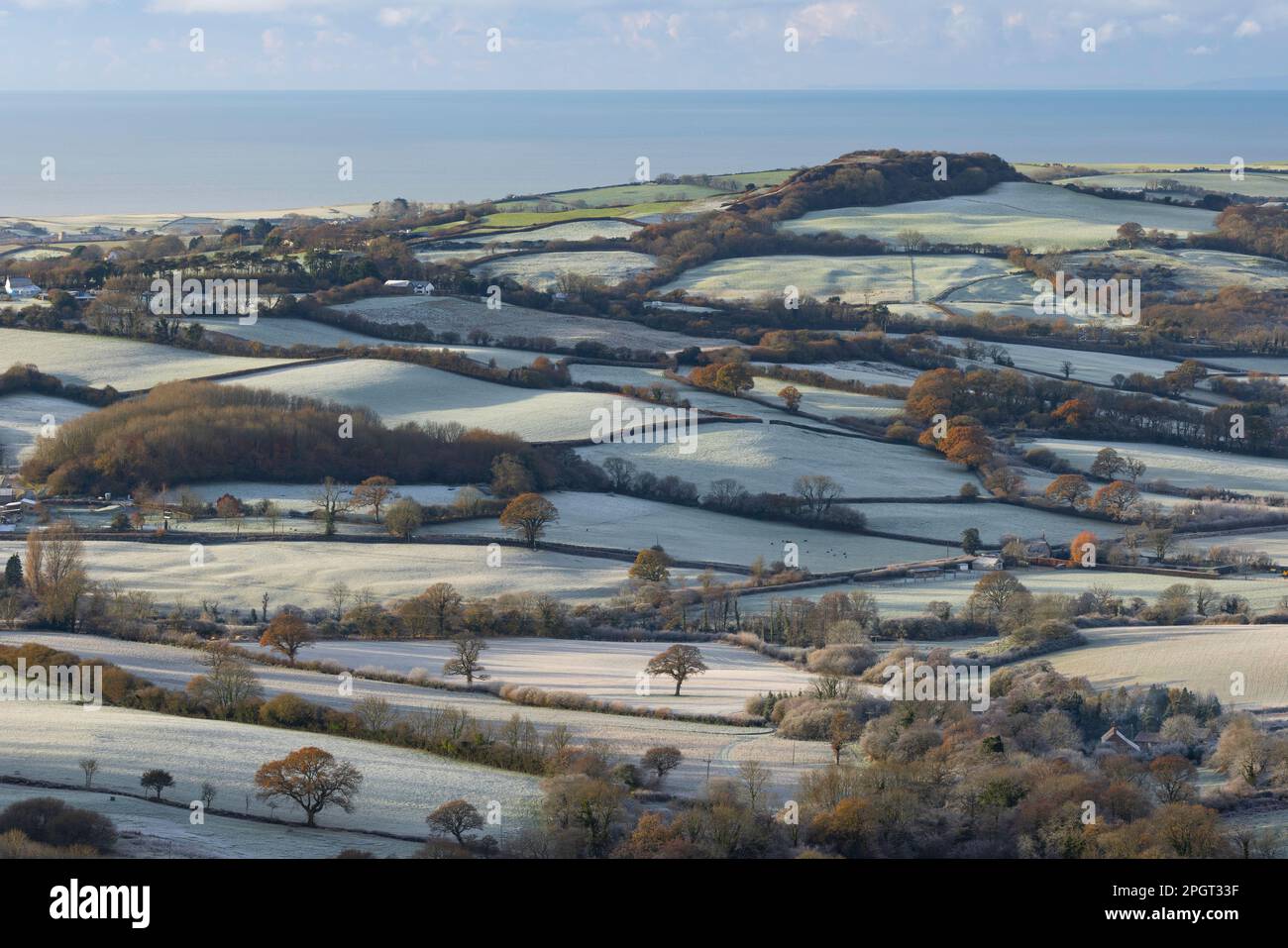 Frosty west Dorset landscape from Eggardon Hill (Iron-age hillfort ...