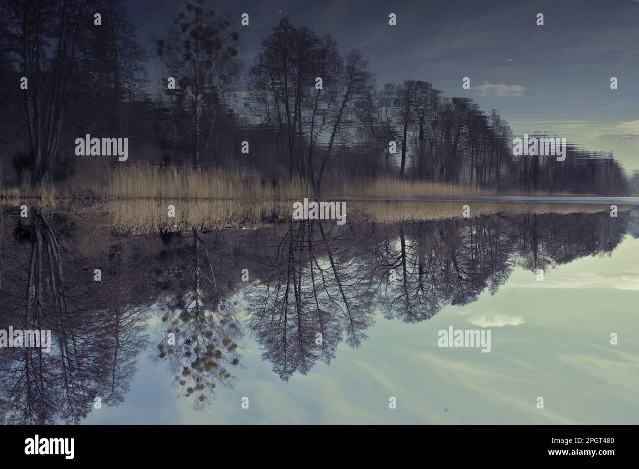 Optical Illusion - Where lies the sky? Turn your screen upside down, or ...