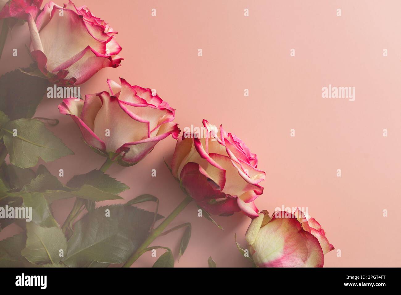Valentines day celebration border hi-res stock photography and images ...