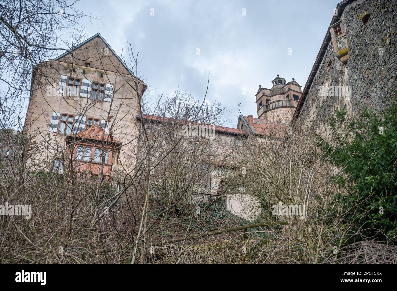Ronneburg Castle view from low angle with tree branches in front during ...
