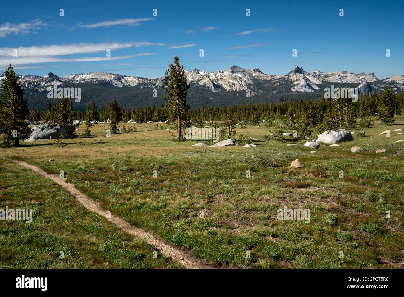 Thin Trail Cuts Across Meadow Toward Young Lakes in Yosemite National ...