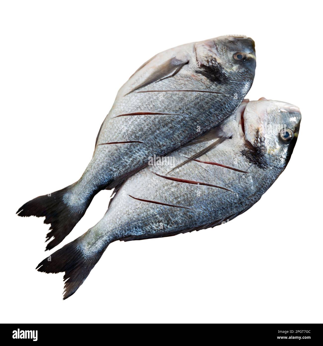 Gilt head bream fillet hi-res stock photography and images - Alamy