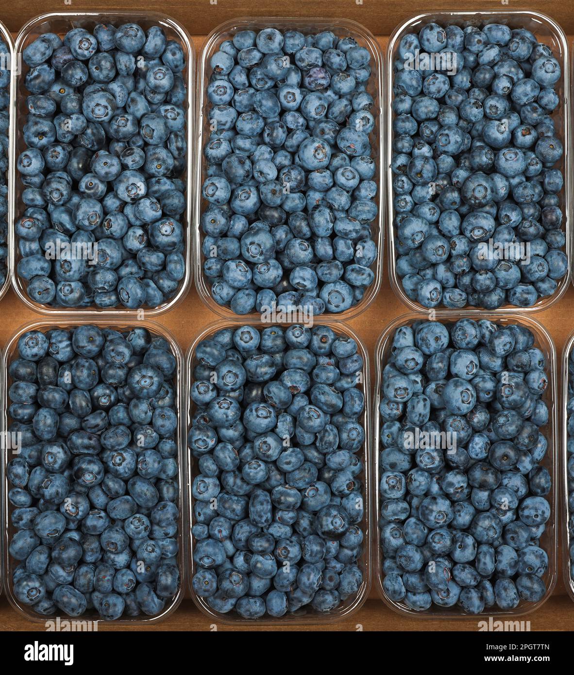 Close up several plastic containers of fresh ripe blueberry berries in ...