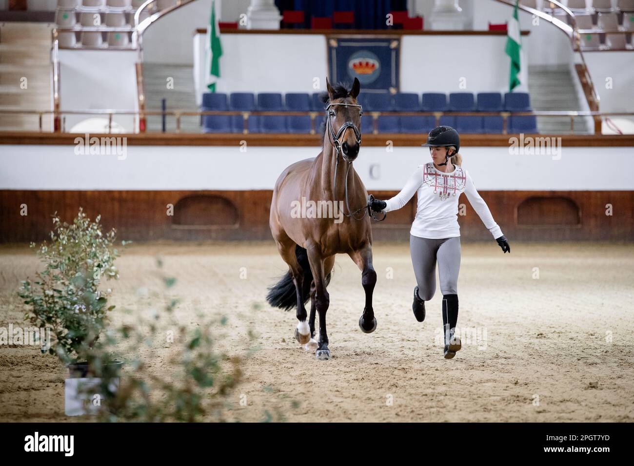 Dutch morgan hi-res stock photography and images - Alamy