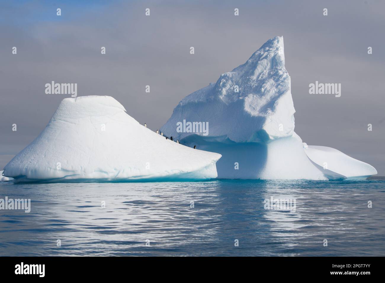 Amazing natural iceberg formations in Antarctic ocean Stock Photo - Alamy