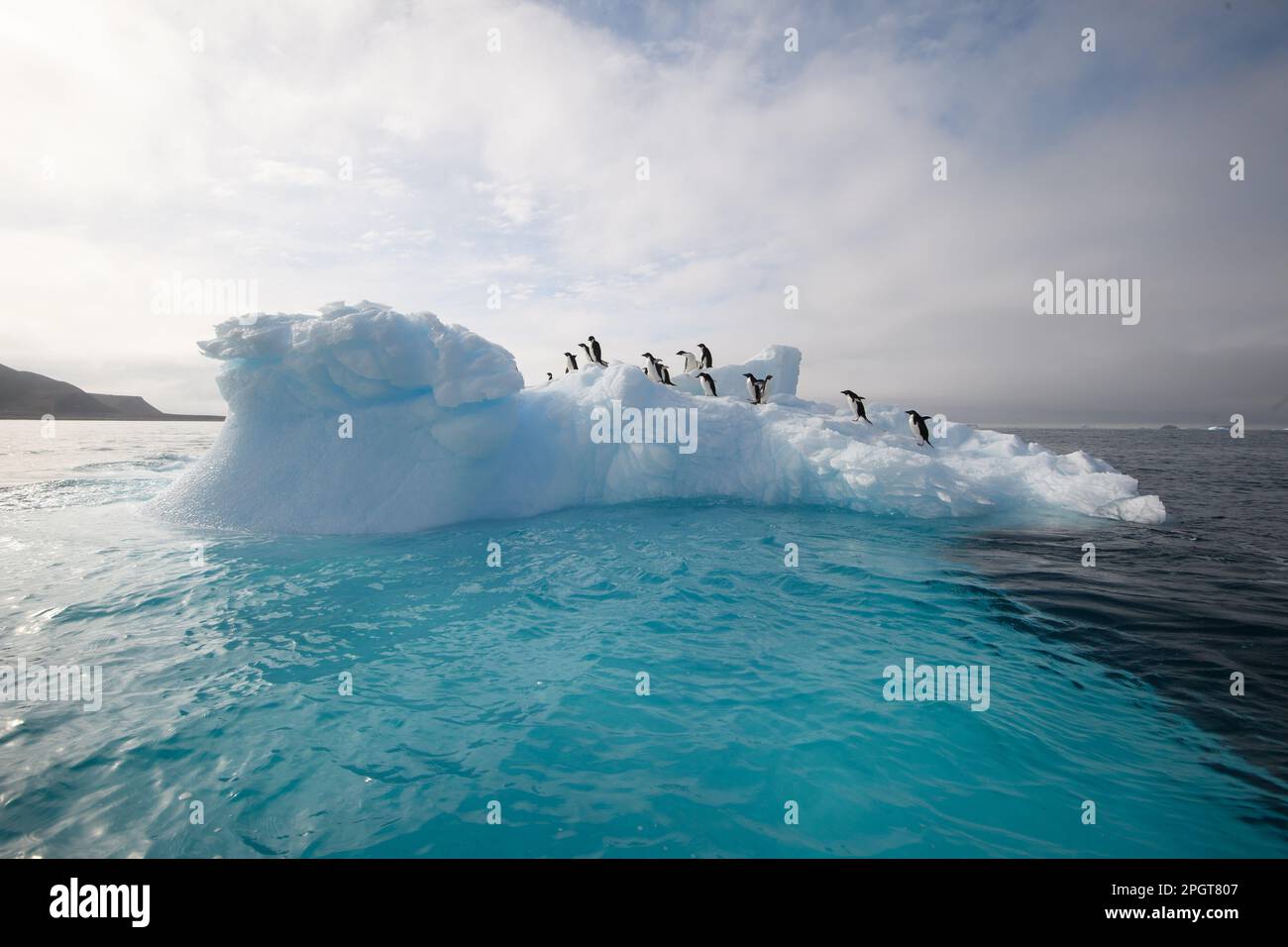 Happy nature in greenland hi-res stock photography and images - Alamy