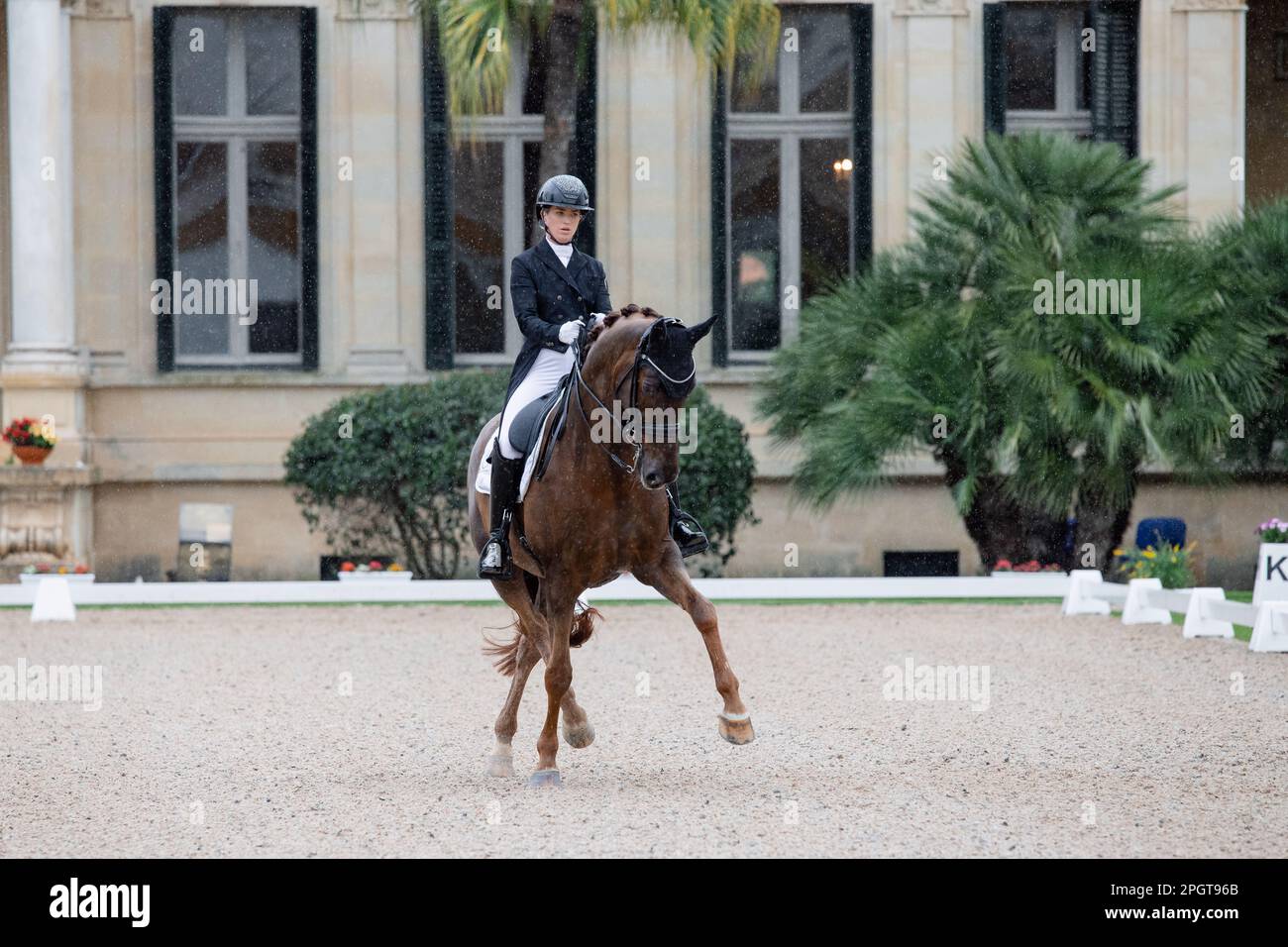 Royal Andalusian School of Equestrian Art, Jerez de la Frontera, Spain ...