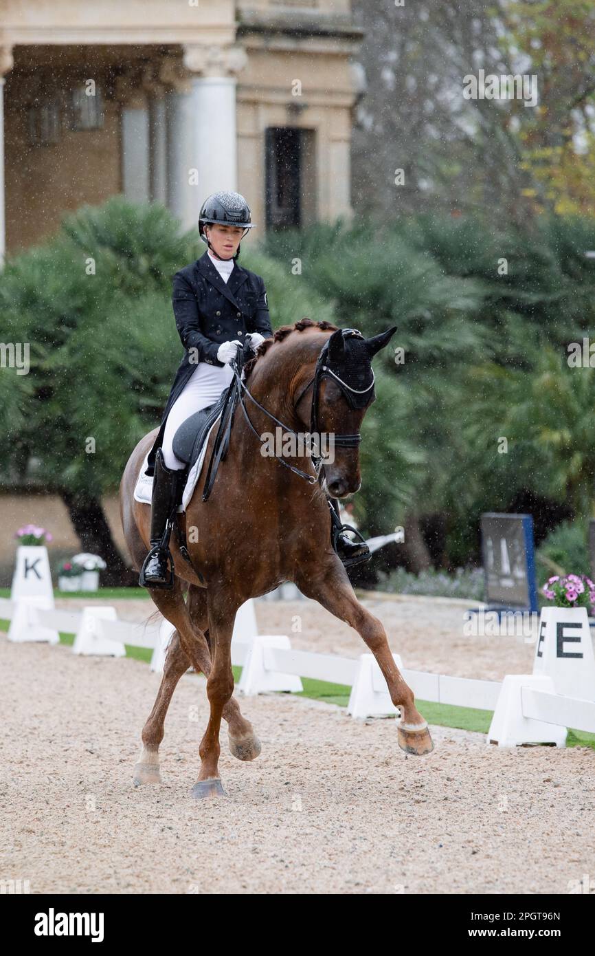 Dutch morgan hi-res stock photography and images - Alamy