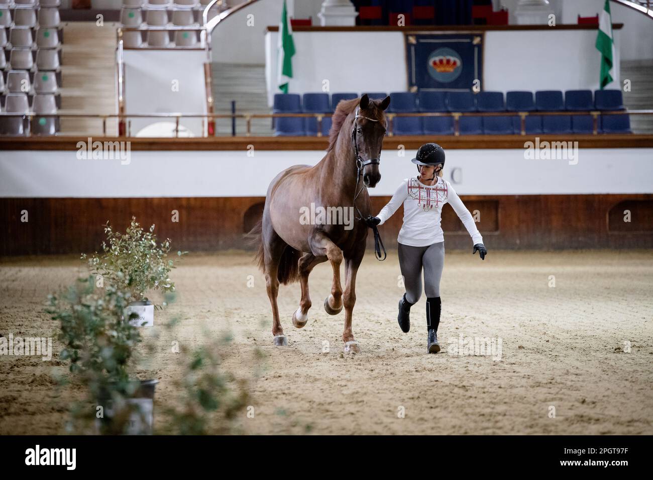 Royal Andalusian School of Equestrian Art, Jerez de la Frontera, Spain ...