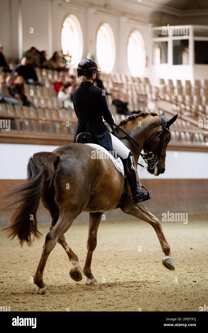 Royal Andalusian School of Equestrian Art, Jerez de la Frontera, Spain ...