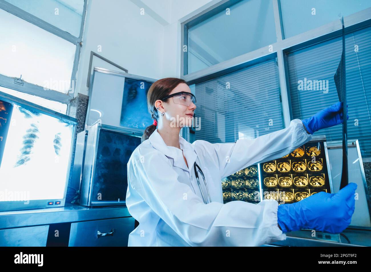 Female medical radiologist doctor looking head and brain x-ray film ...