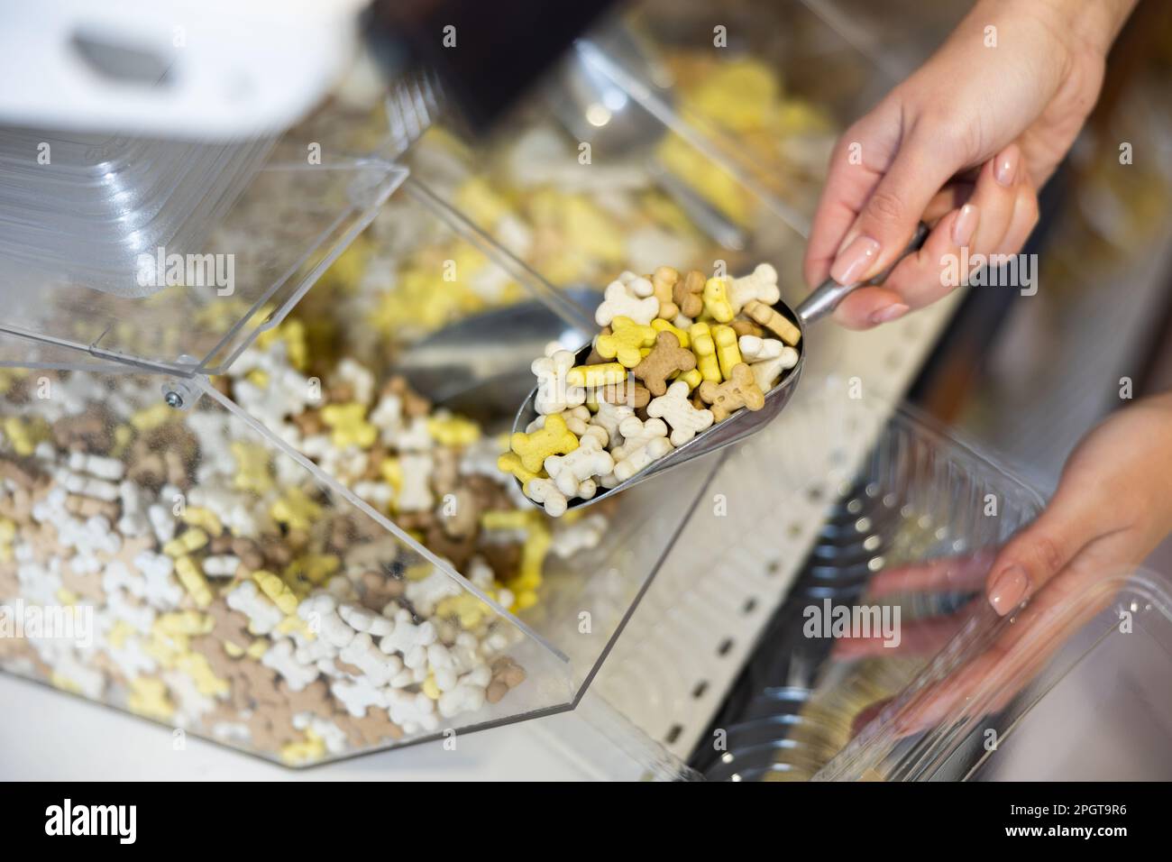 Female hands holding scoop with dog dry food in pet store Stock Photo ...